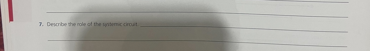 Solved Describe the role of the systemic circuit. | Chegg.com