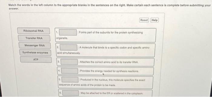 Solved Match the words in the left column to the appropriate | Chegg.com