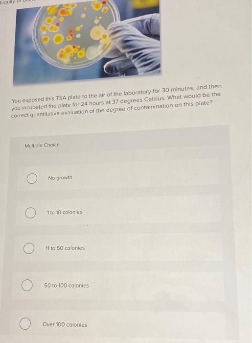 Solved Review the differences between archaea and bacteria | Chegg.com