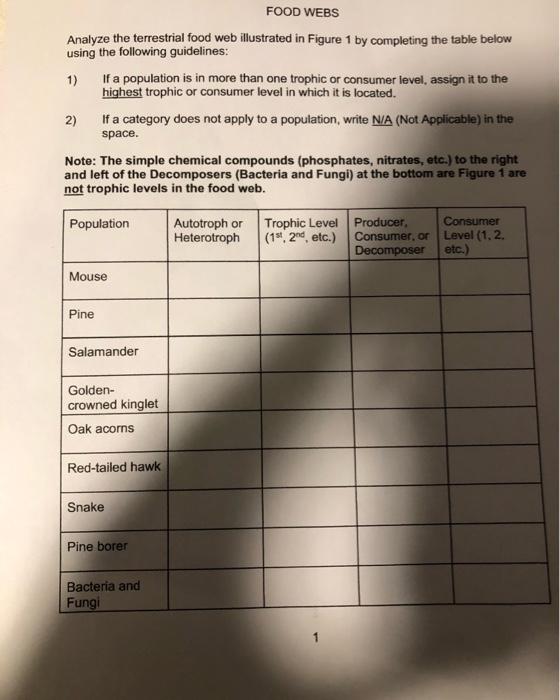 Solved FOOD WEBS Analyze the terrestrial food web | Chegg.com