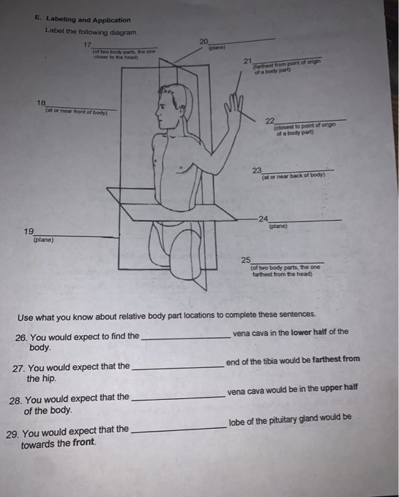 Solved E. Labeling and Application Label the following | Chegg.com