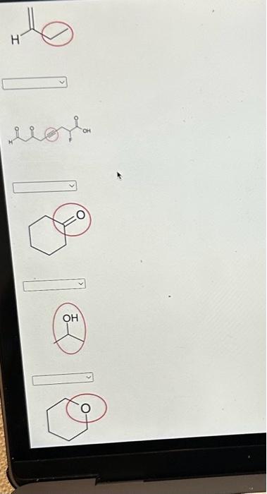 Solved Identify each functional group circled on the | Chegg.com