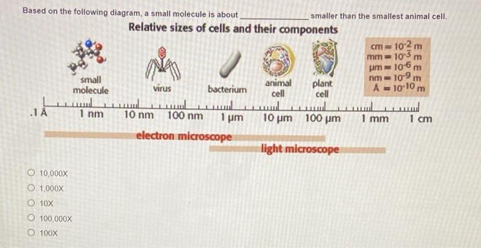 Solved Based on the following diagram, a small molecule is | Chegg.com