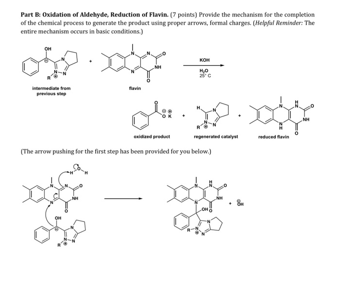 solved-mechanism-vitamin-b2-commonly-known-as-riboflavin-chegg