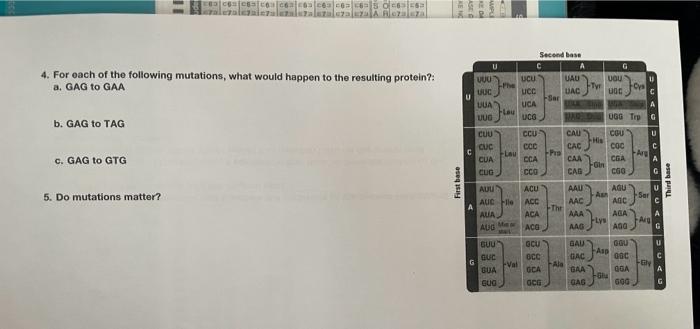 Solved 4. For each of the following mutations, what would | Chegg.com