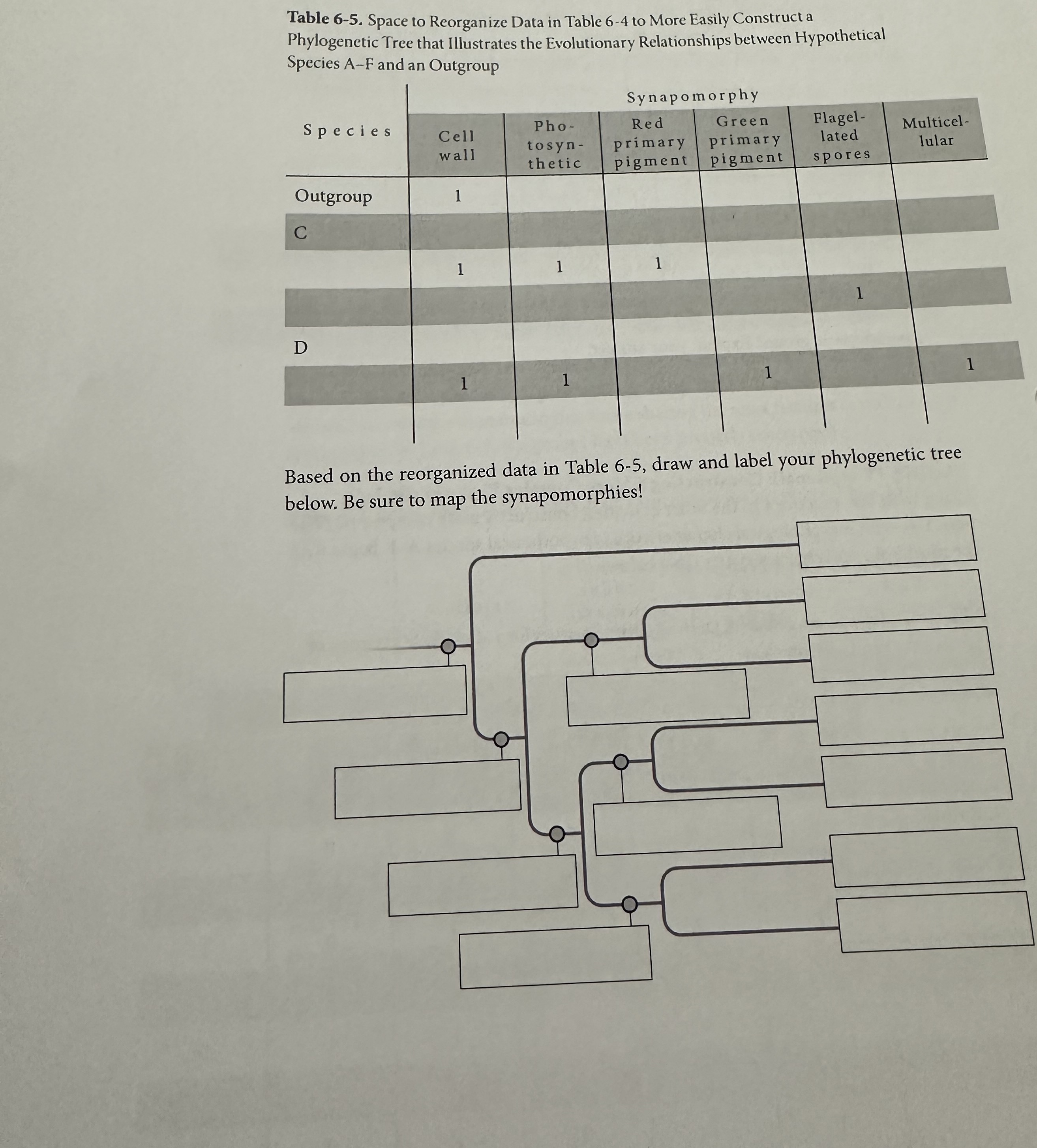 Solved Table 6-5. ﻿Space to Reorganize Data in Table 6-4 ﻿to | Chegg.com