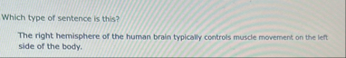 Solved Which type of sentence is this?The right hemisphere | Chegg.com
