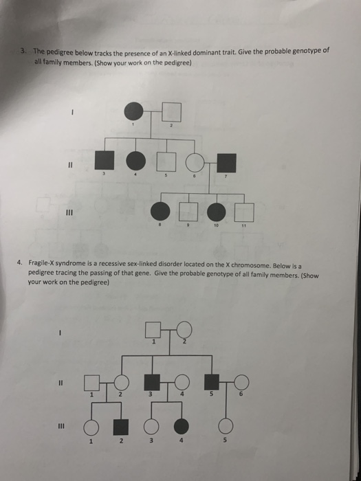 Solved The pedigree below shows the ABO blood type of a | Chegg.com