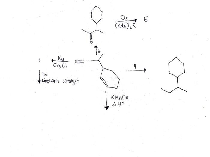 Solved complete the reaction map below 1 OH 애 OH + cold v | Chegg.com