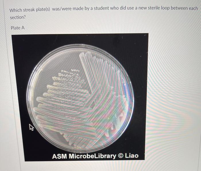 Solved Which streak plate(s) was/were made by a student who | Chegg.com