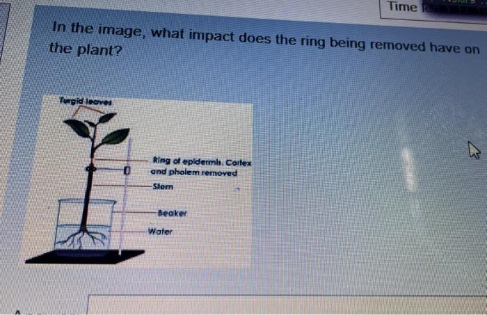 Solved Solid particles that absorb water are referred to as | Chegg.com