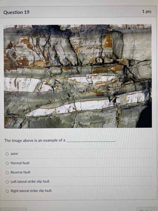 Solved Question 19 The image above is an example of a | Chegg.com