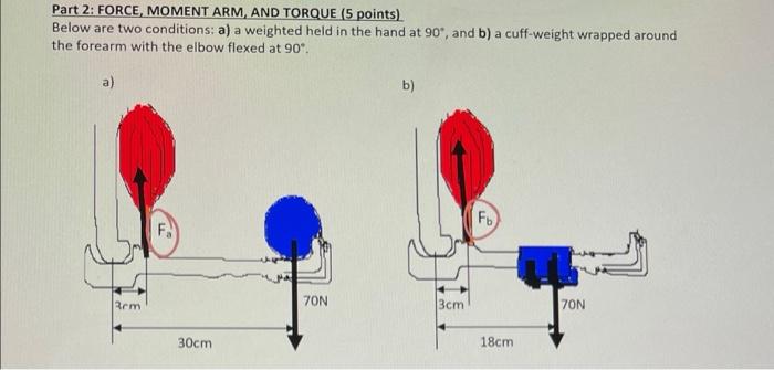 Solved Part 2: FORCE, MOMENT ARM, AND TORQUE (5 points) | Chegg.com