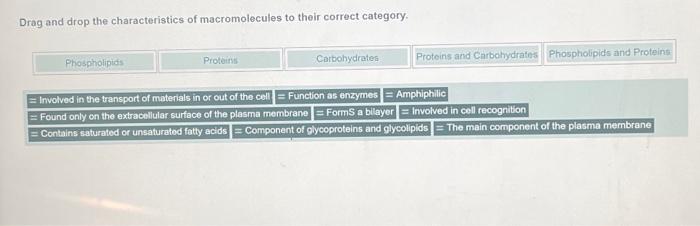Solved Drag And Drop The Characteristics Of Macromolecules