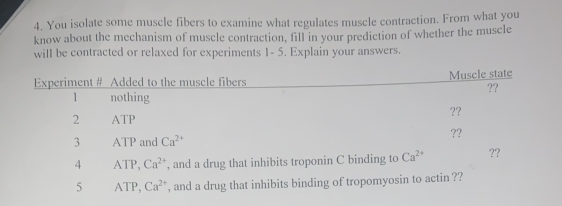 Solved You isolate some muscle fibers to examine what | Chegg.com