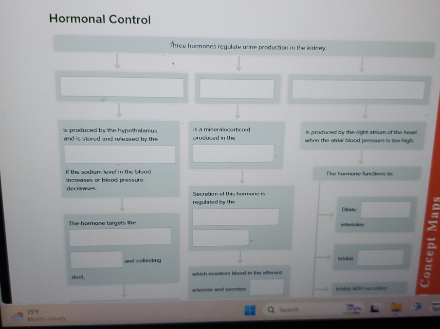 Solved Hormonal ControlThree hormones regulate urine | Chegg.com