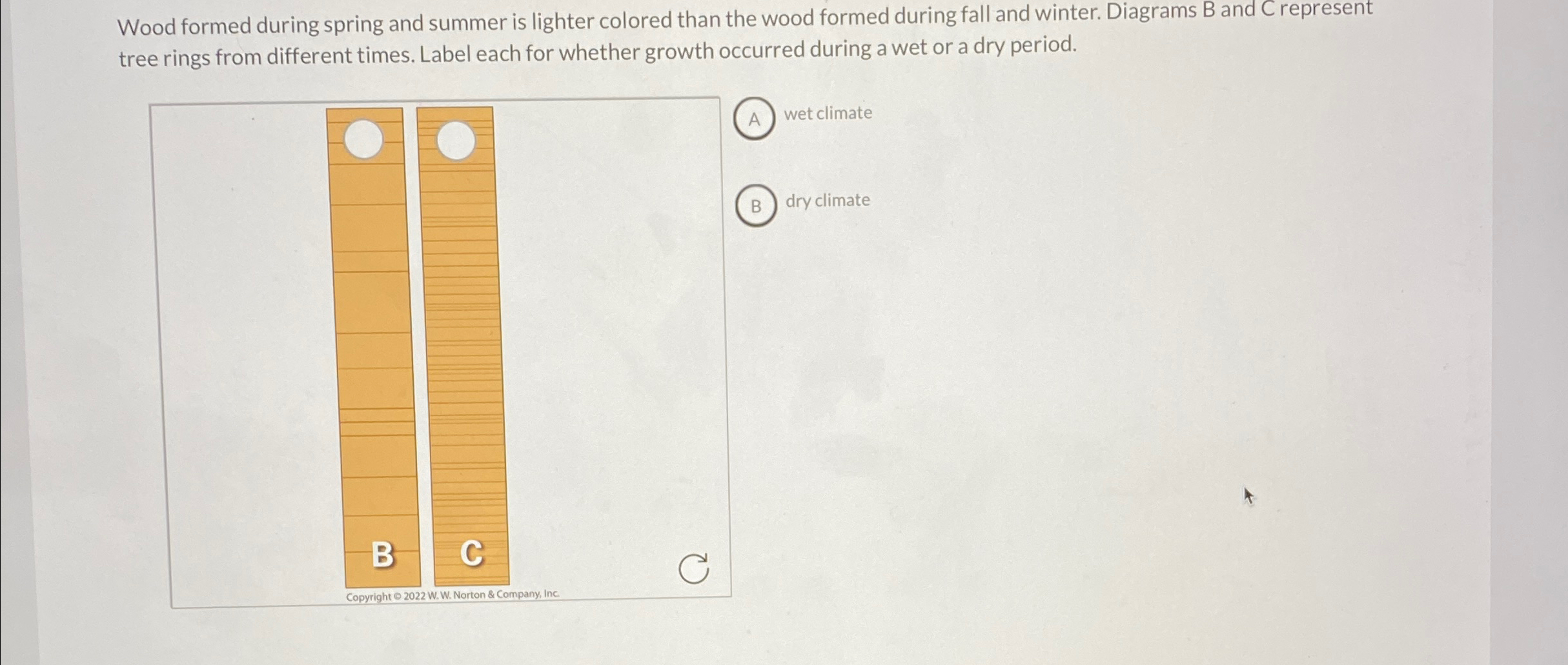 Solved Wood formed during spring and summer is lighter | Chegg.com
