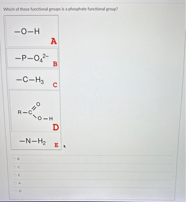 Solved Which of these functional groups is a phosphate | Chegg.com