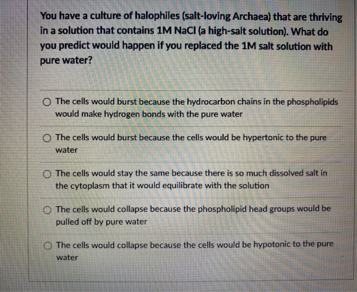 Solved You have a culture of halophiles (salt-loving | Chegg.com