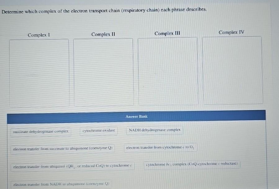 Solved Determine which complex of the electron transport | Chegg.com