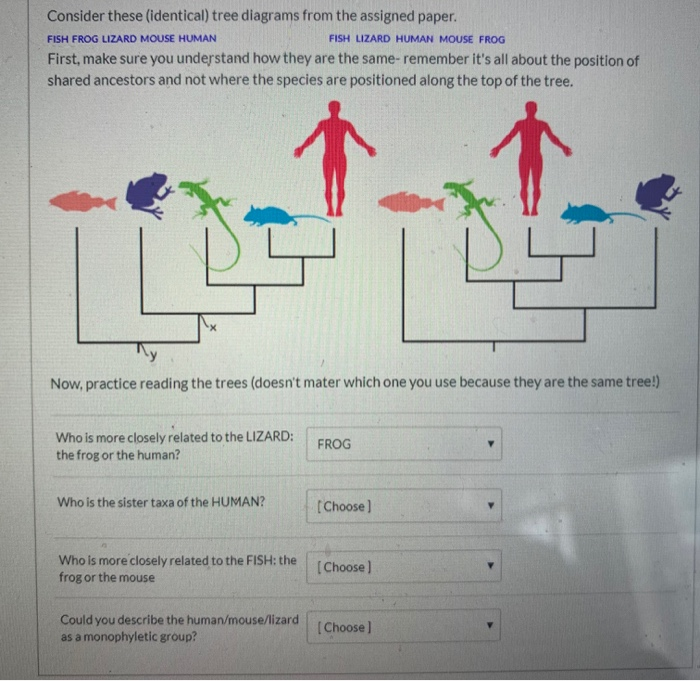 Solved Consider these identical) tree diagrams from the | Chegg.com