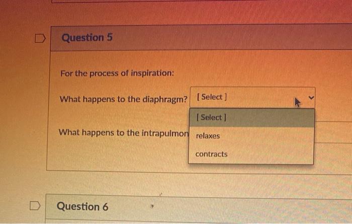 Solved Question 5 2 pt For the process of inspiration: What | Chegg.com