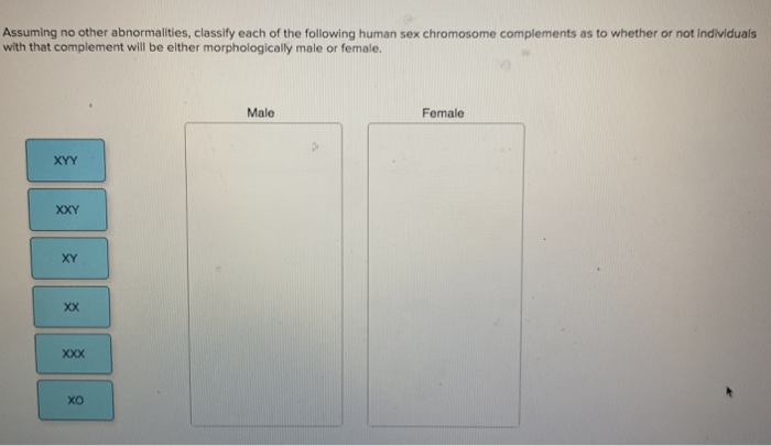 Solved Assuming no other abnormalities, classify each of the | Chegg.com
