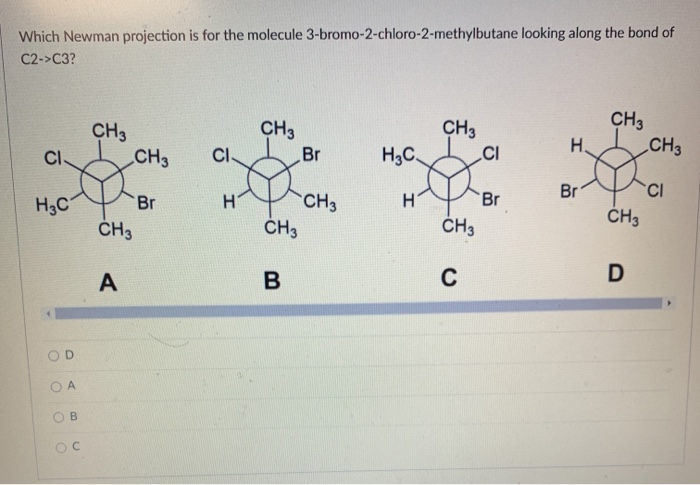 Solved Which Newman projection is for the molecule | Chegg.com