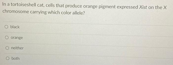 Solved In a tortoiseshell cat, cells that produce orange | Chegg.com