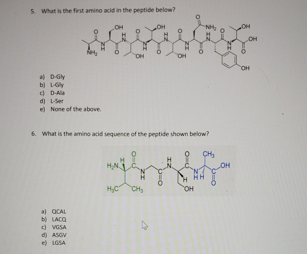 Solved 5. What is the first amino acid in the peptide below? | Chegg.com