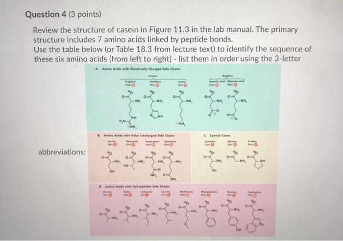 Solved Question 4 (3 points) Review the structure of casein | Chegg.com