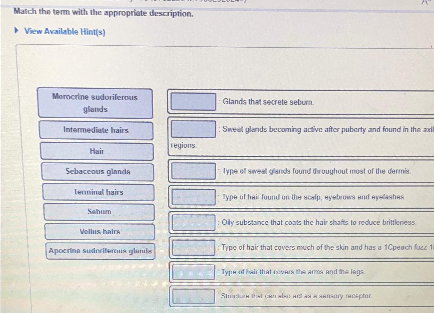 Solved Match the term with the appropriate description.View | Chegg.com