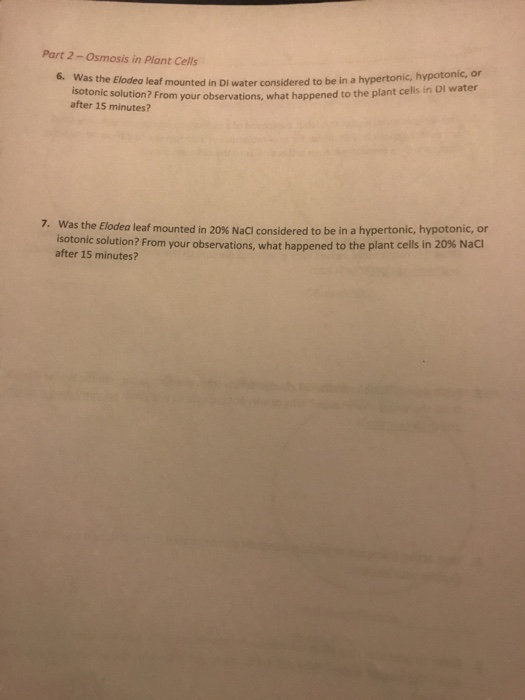 Solved Name: Date: POST-LAB QUESTIONS - Cellular Transport - | Chegg.com