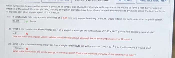 Solved An object with a mass of m=4.65 kg is attached to the | Chegg.com