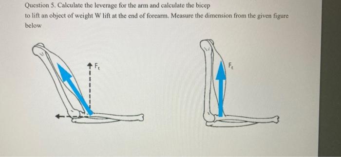 Solved Question 5. Calculate the leverage for the arm and | Chegg.com