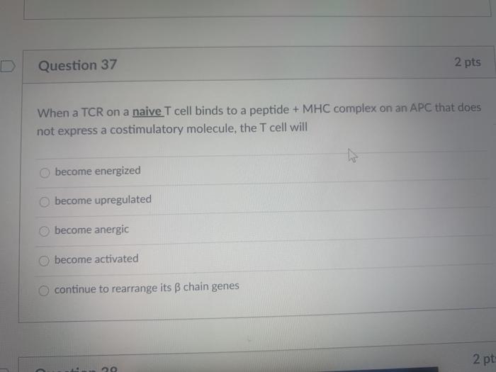 Solved Question 37 2 pts When a TCR on a naive T cell binds | Chegg.com