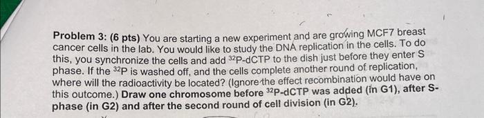 Solved Problem 3: (6 pts) You are starting a new experiment | Chegg.com