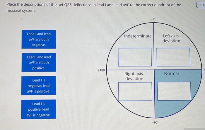 Solved This image shows all of the limb lead axes. That is, | Chegg.com