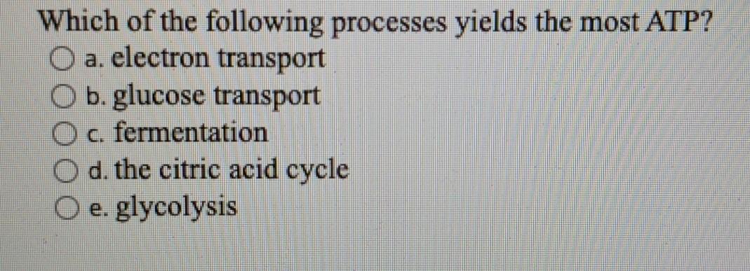 Solved Which of the following processes yields the most ATP? | Chegg.com