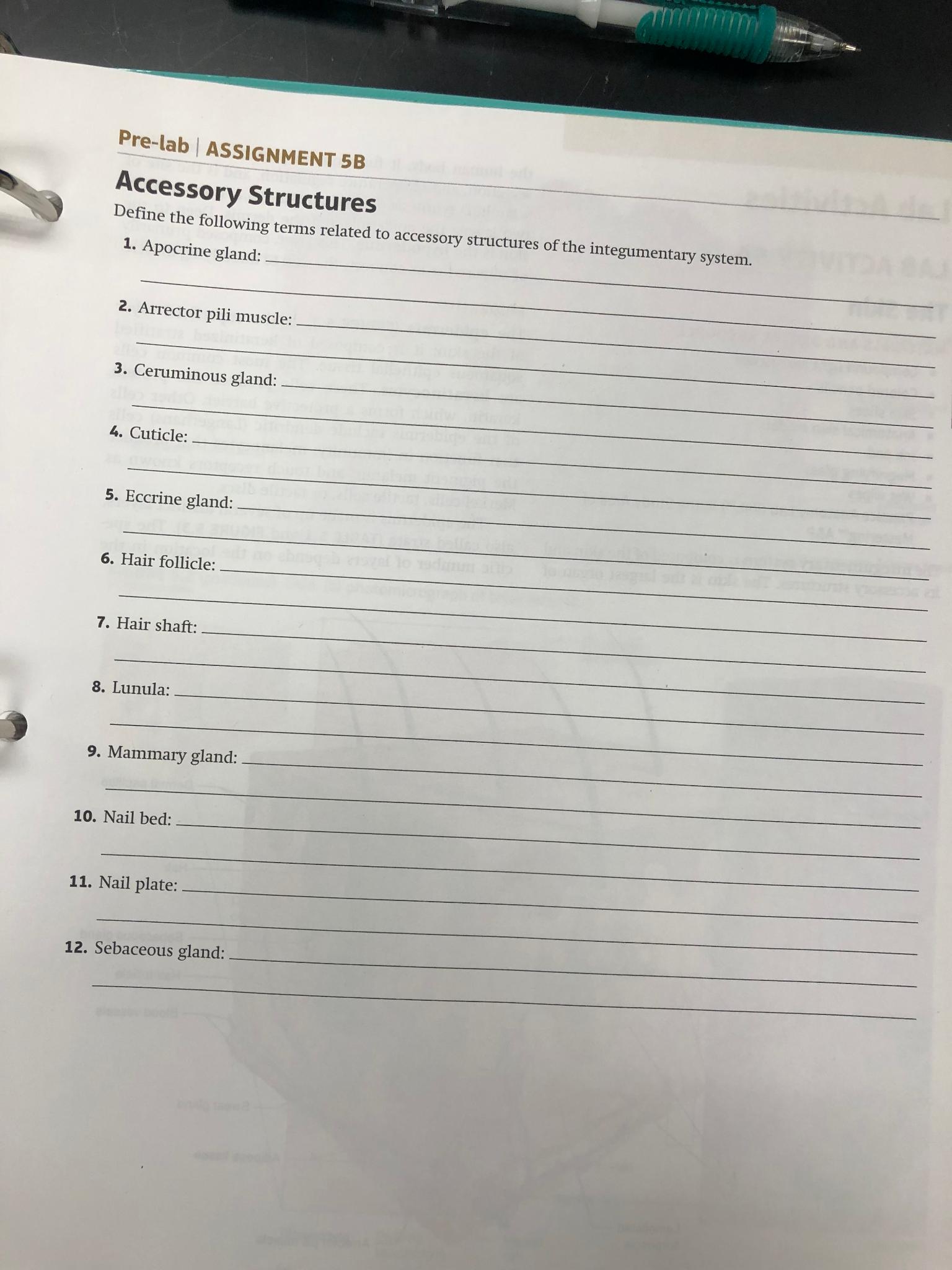 Solved Pre-lab | ﻿ASSIGNMENT 5BAccessory StructuresDefine | Chegg.com
