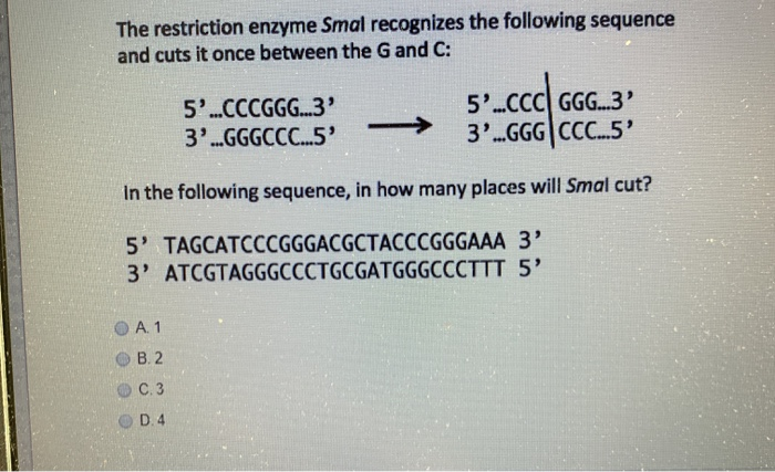 Solved The restriction enzyme Smal recognizes the following | Chegg.com