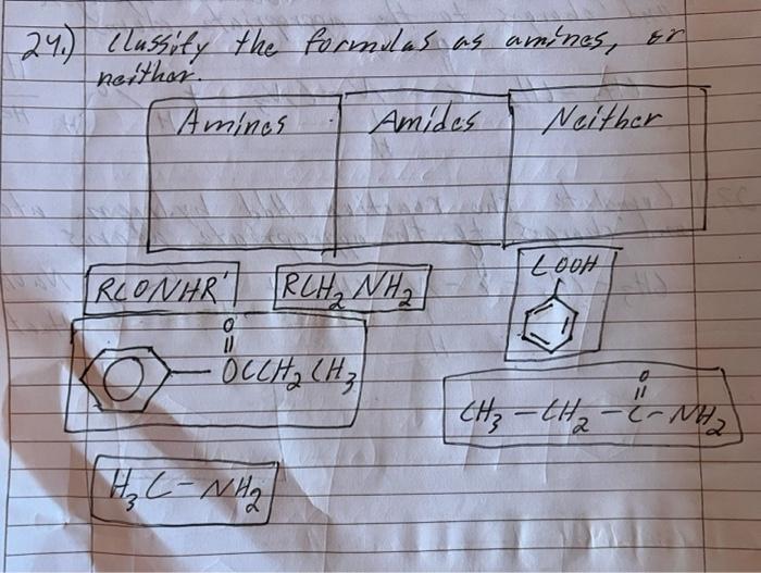 Solved 24.) Ilussity the formulas as amines, on neither | Chegg.com