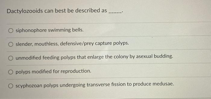 Solved Dactylozooids can best be described as O siphonophore | Chegg.com