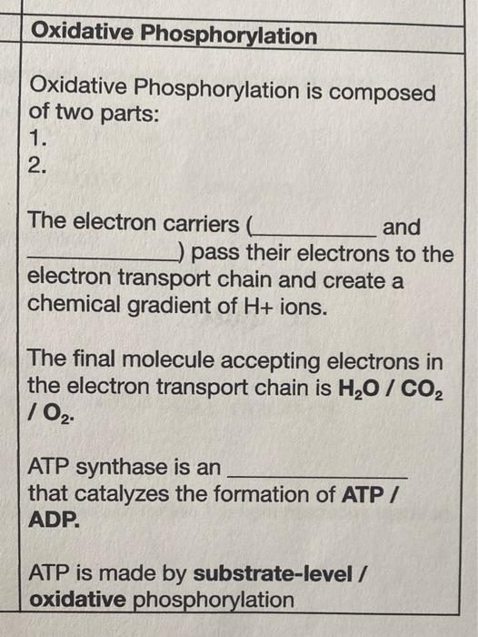 Solved Oxidative Phosphorylation Oxidative Phosphorylation | Chegg.com