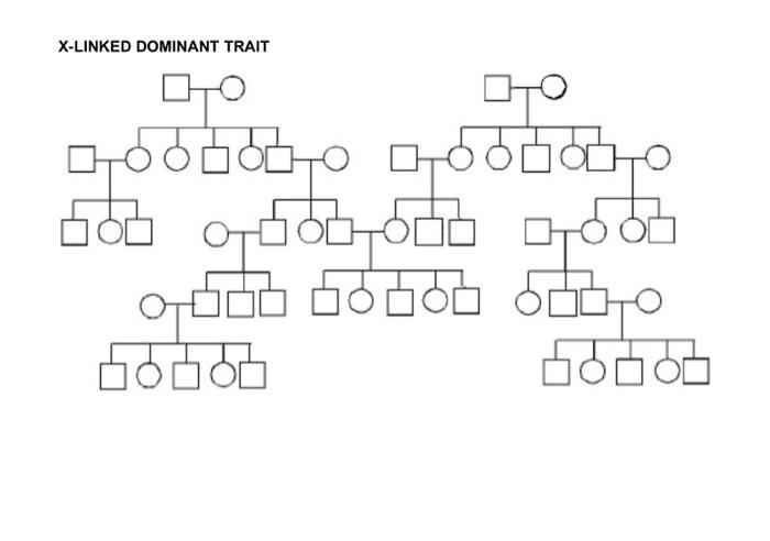 Solved Can you give me an example of a X-linked dominant and | Chegg.com