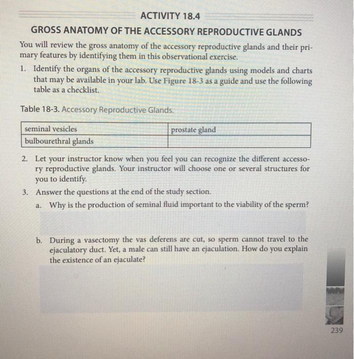 [Solved]: GROSS ANATOMY OF THE ACCESSORY REPRODUCTIVE GLAND