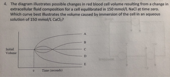 Solved 4. The diagram illustrates possible changes in red | Chegg.com