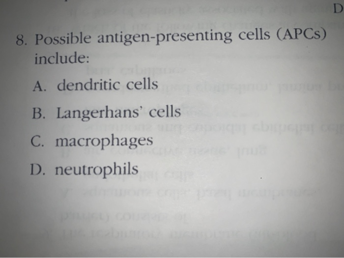 Solved D 8. Possible antigen-presenting cells (APCs) | Chegg.com
