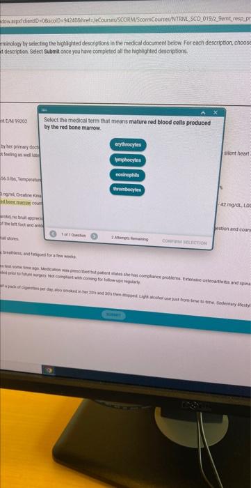 Solved mikology by seiecting the Wghiggtied descriptions in | Chegg.com