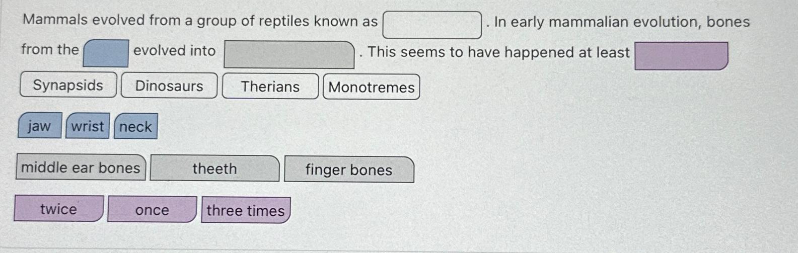 Solved Mammals evolved from a group of reptiles known as In | Chegg.com